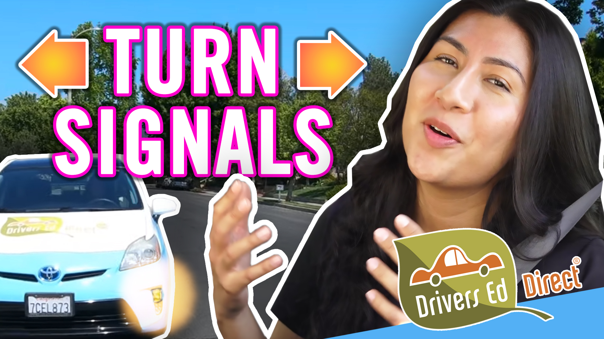 All About Turn Signals